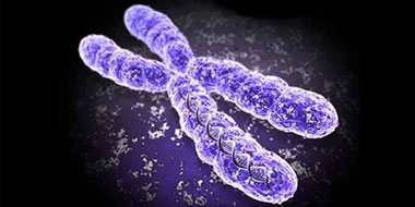 Finding Our Way with L1CAM | Hydrocephalus Association