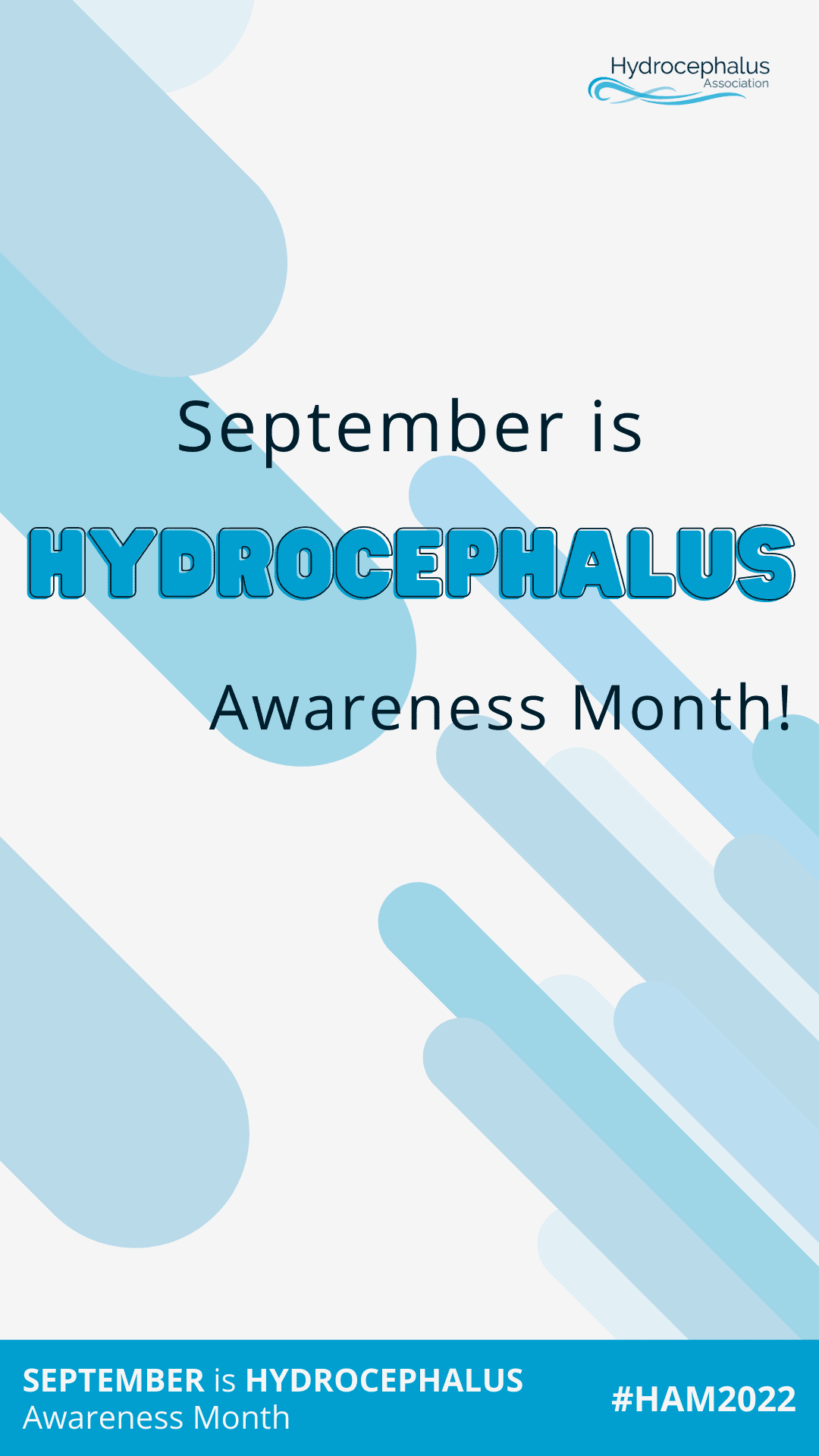 Hydrocephalus Awareness