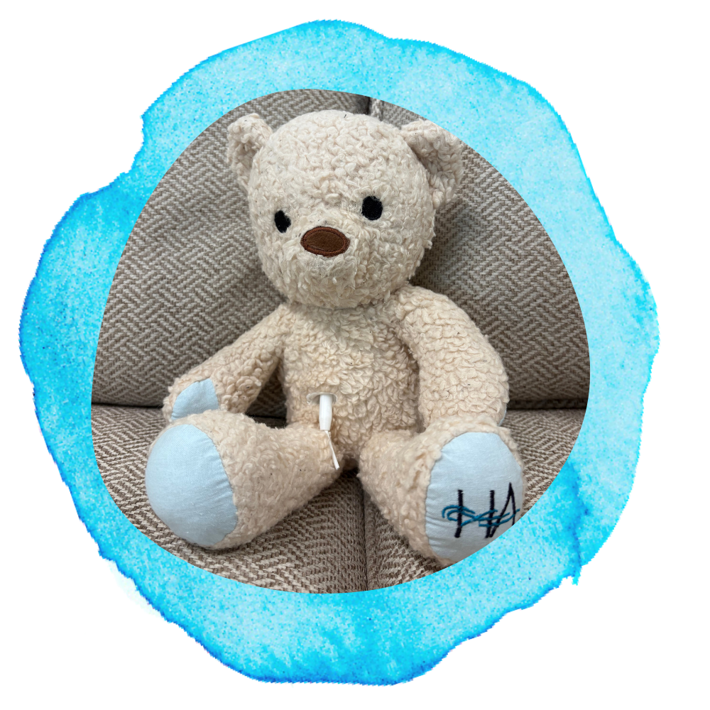 My Hydro Bear: An Educational Hydrocephalus Tool